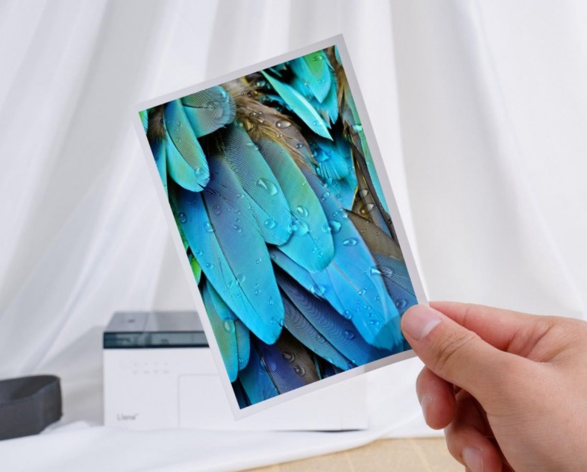 5 Reasons Why We Choose 4x6 Photo Paper for Instant Printers | Liene
