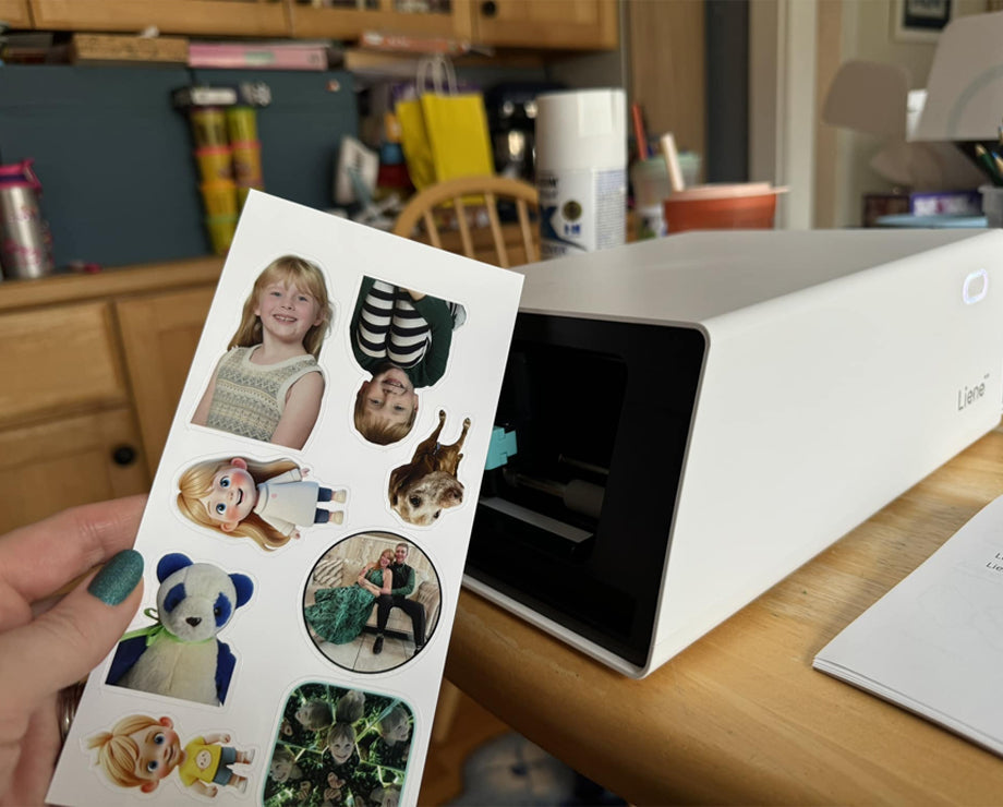 How to Pick the Right PixCut S1 Material for Your Project - Liene